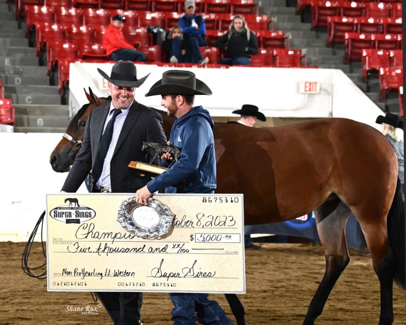 2023 All-American Quarter Horse Congress Non Pro Yearling Longe Line ...