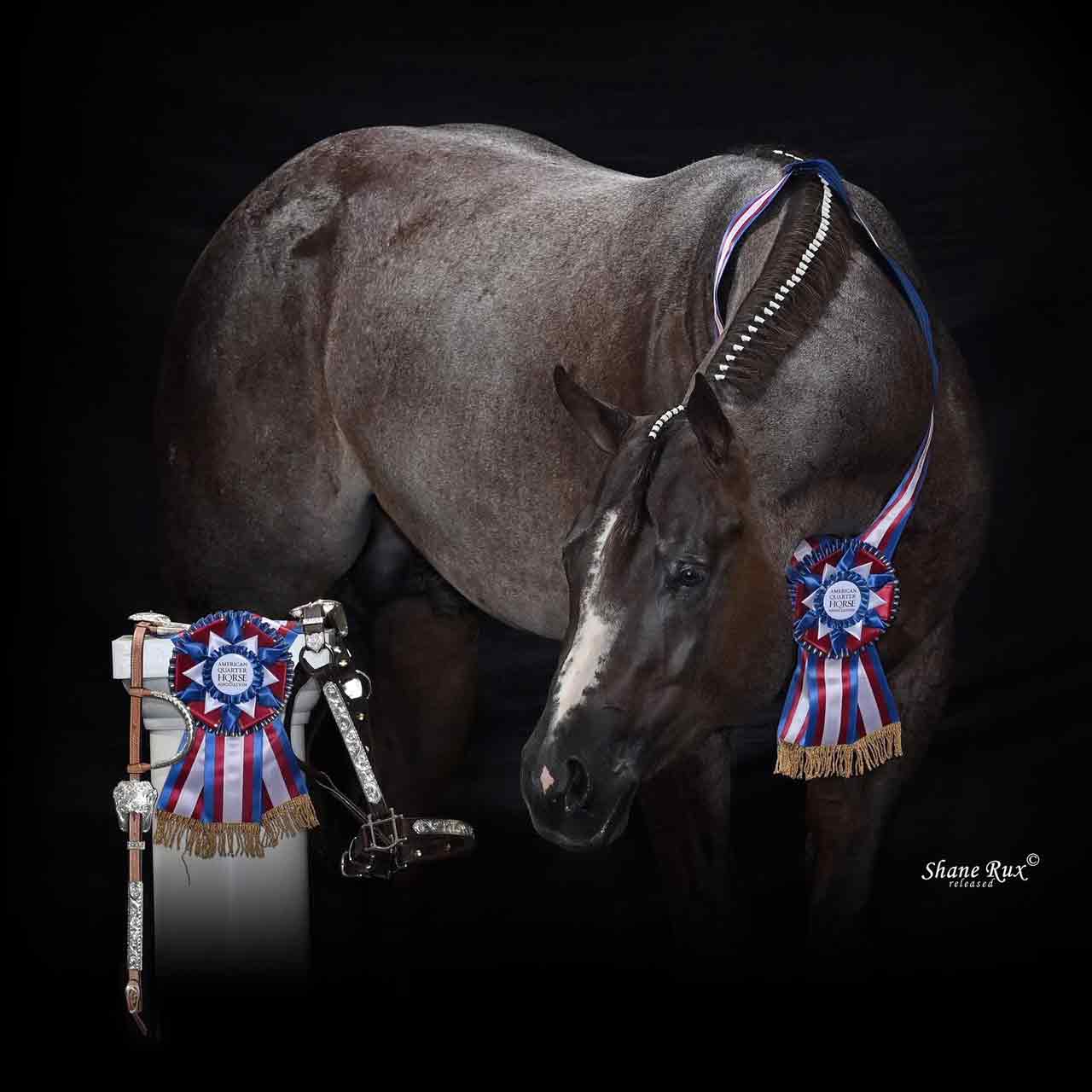 First Thingz First - Super Sires