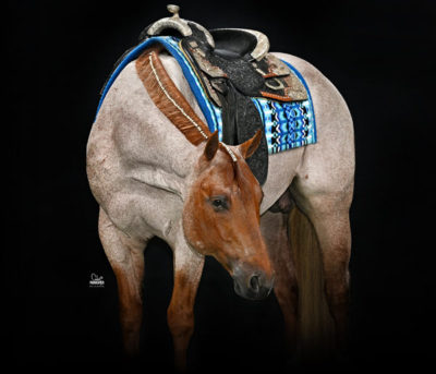 VS The Fireman – Super Sires