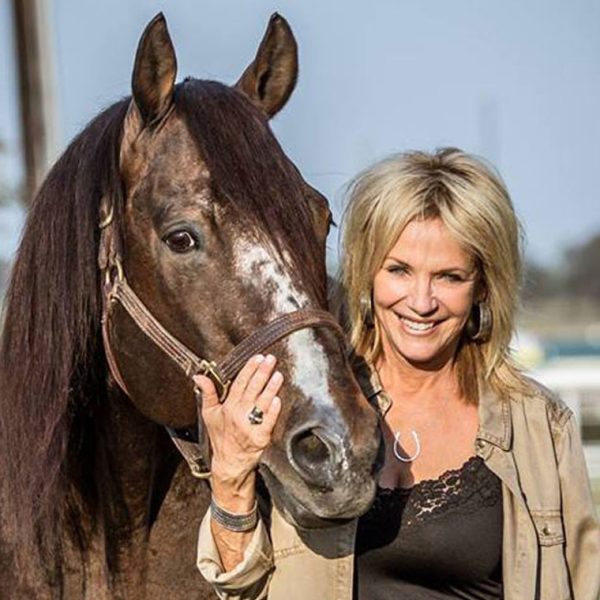 About Us – Super Sires