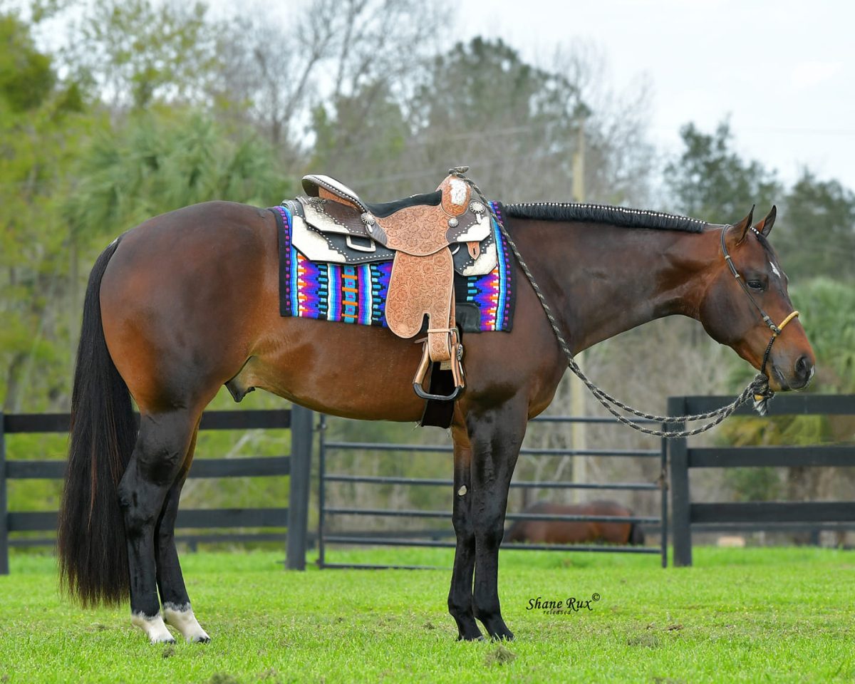 Madefourit – Super Sires