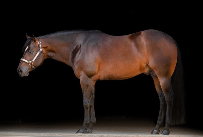 The Extreme Machine – Super Sires